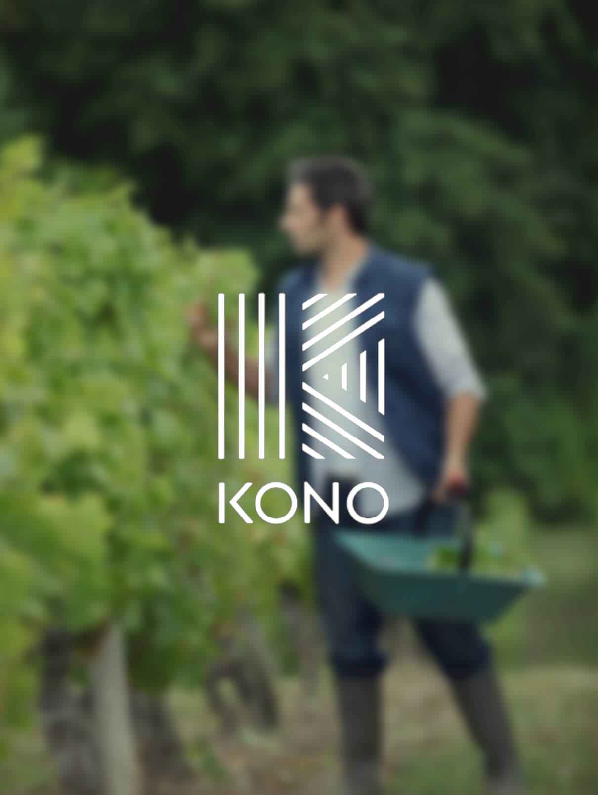 Facilitation of strategy and business planning | Catapult